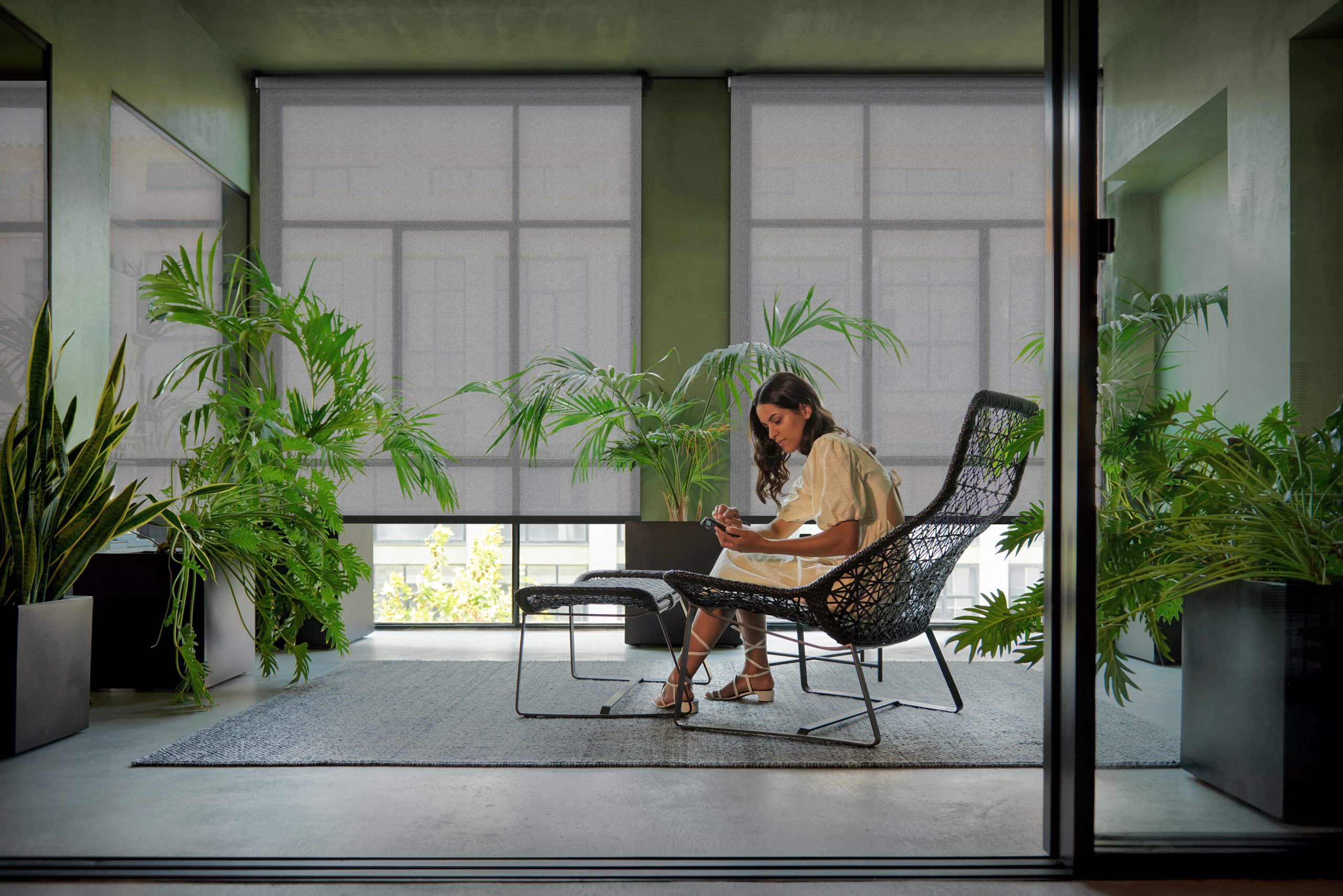 ON TREND — SCREEN FABRICS | DEXTERA